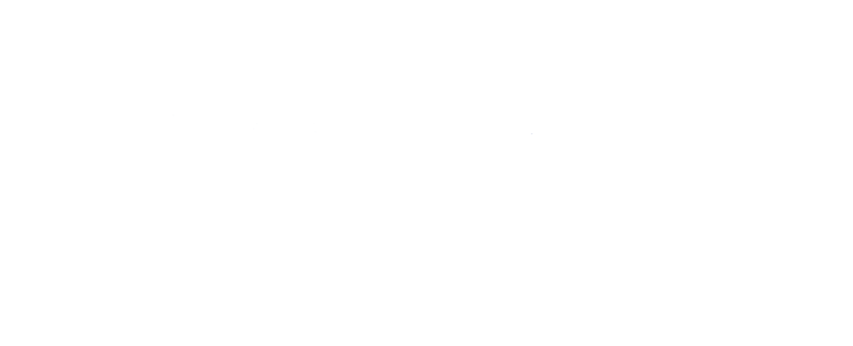 Mecer Xpress Executive 10.1″ – DP10S+ – Mecer