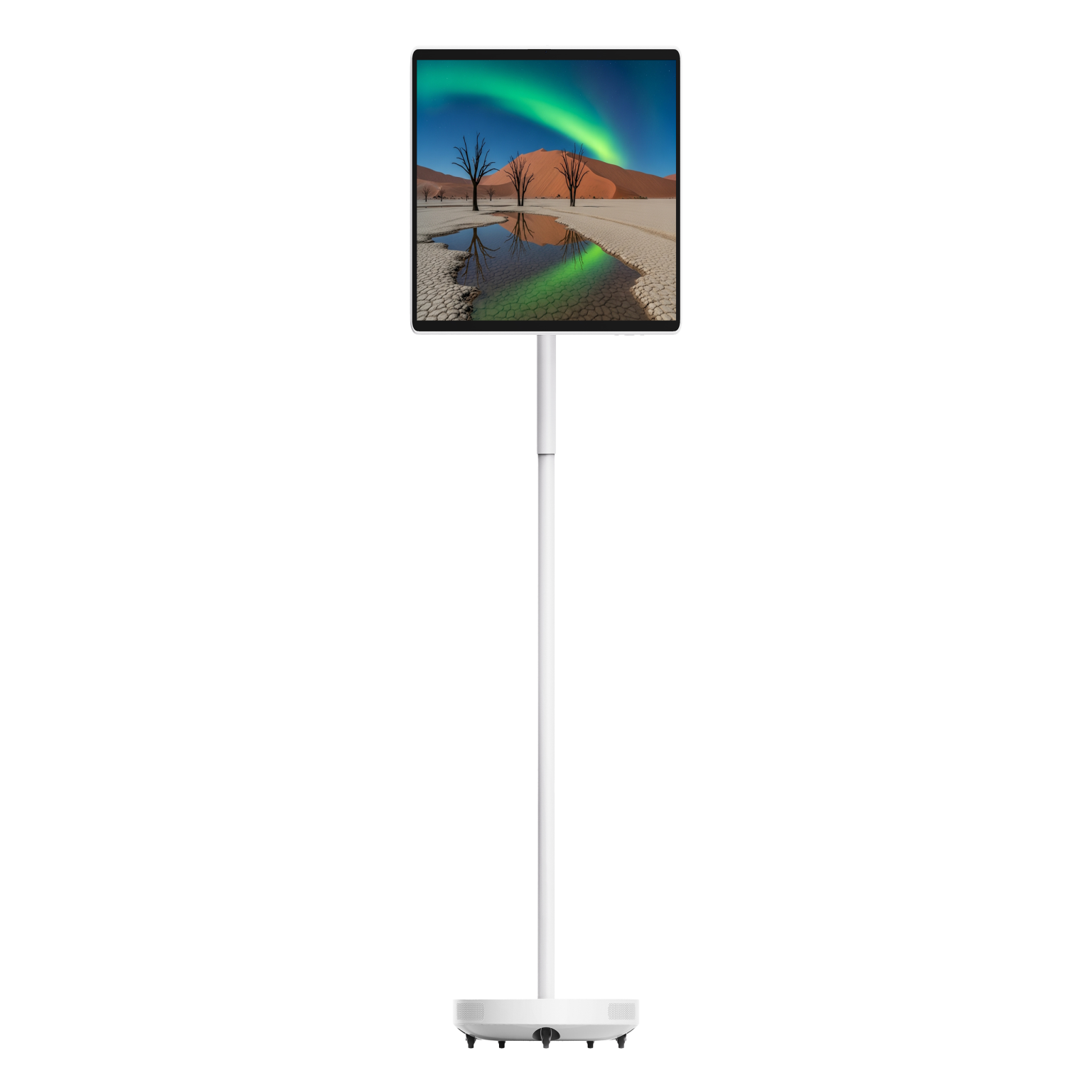 Displays – Mecer