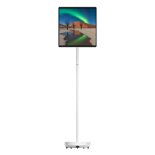 Displays – Mecer